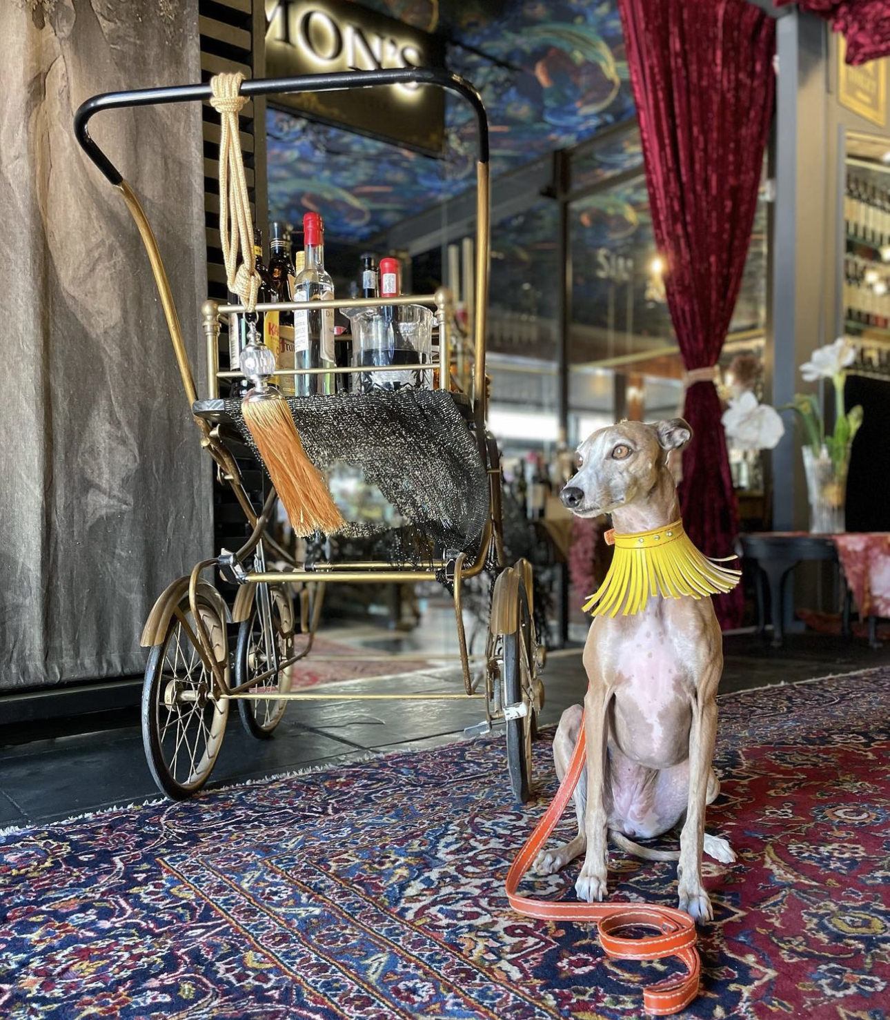 Restaurant Menu | High Tea And Picnic Menu | Dog Menu