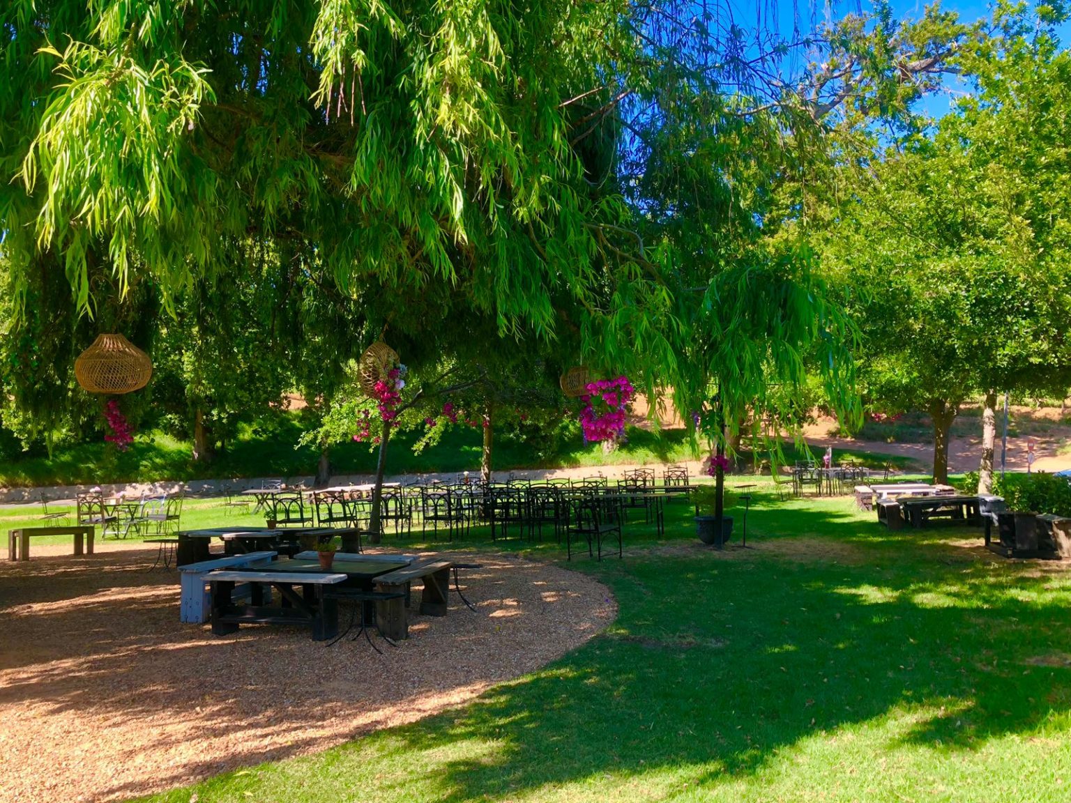 Family Restaurant Gallery | Simon's Groot Constantia